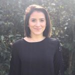 Meet the Team